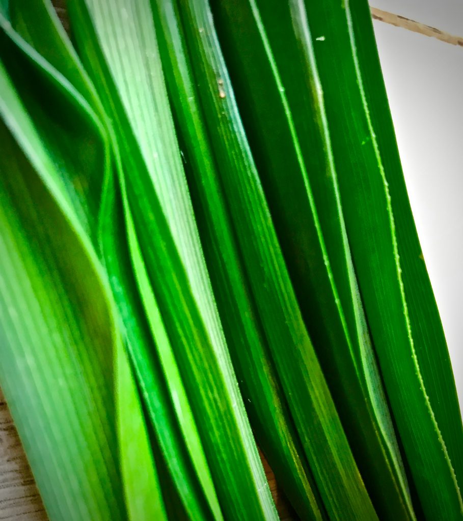 Thai Food Made Easy | PANDAN JAM